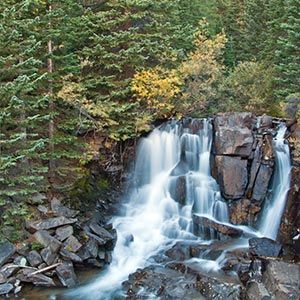 Freddy Gish | Tucker Funeral Home